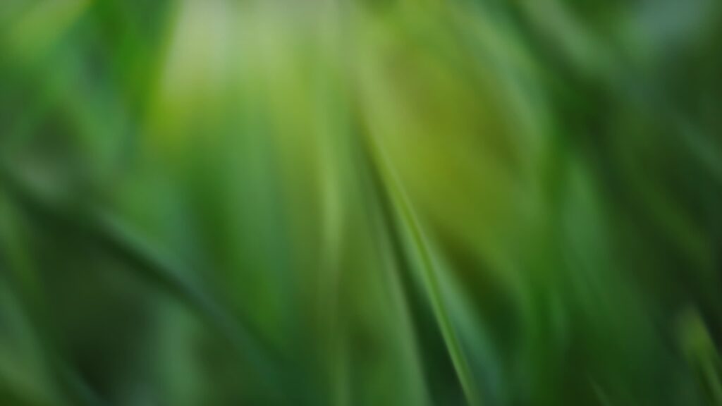 Our Vision Statement - Antipollution